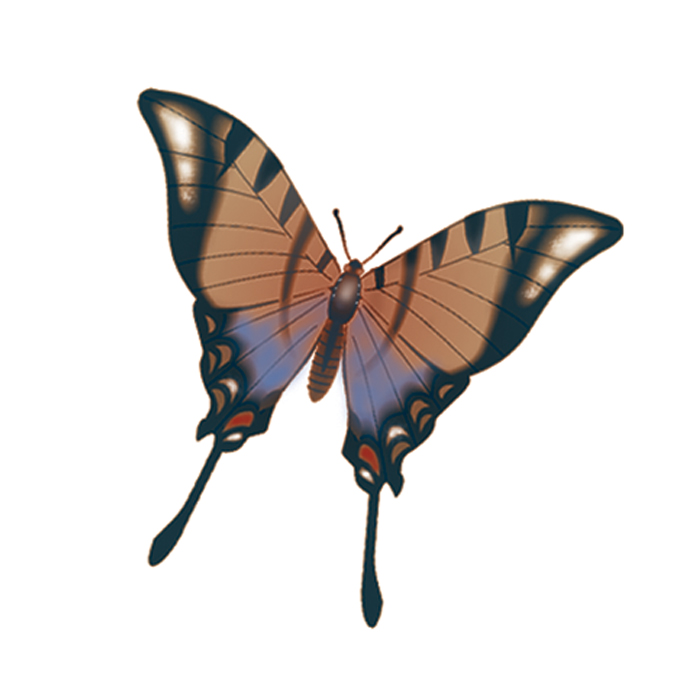 Monarch Butterfly Angled Temporary Tattoo - IndustryPrint Multi Store