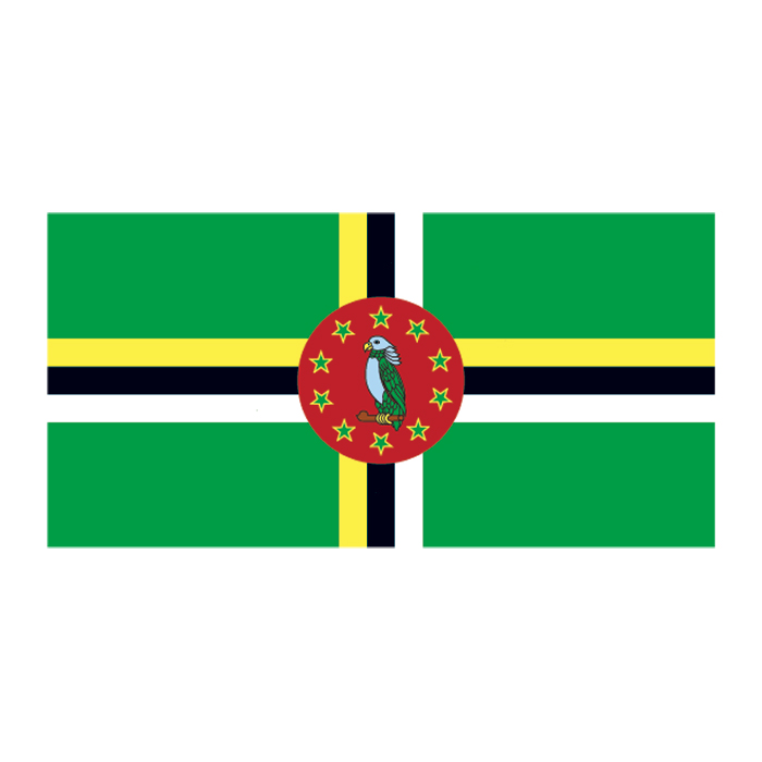 Dominica Flag Temporary Tattoo - IndustryPrint Multi Store