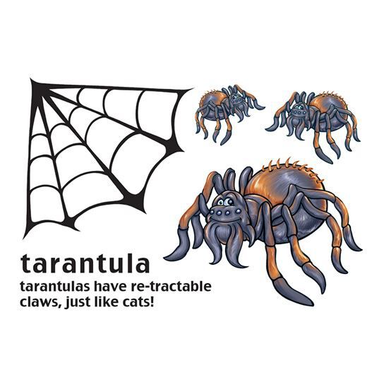Cartoon Tarantula Temporary Tattoo - IndustryPrint Multi Store